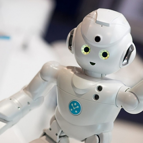 Lynx robot with Amazon Alexa (speach) assistant